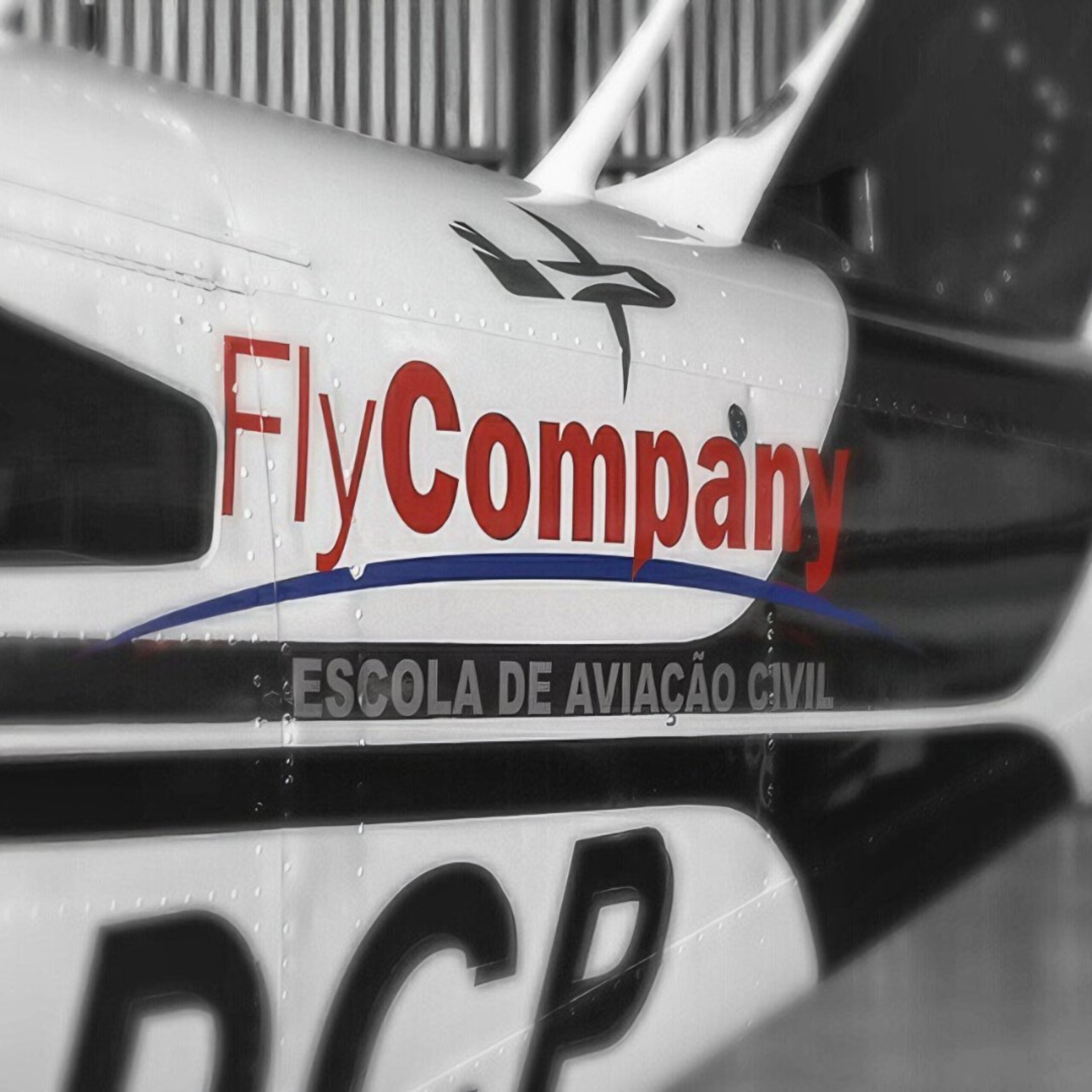 Cursos de Aviação Online | Fly Company EAD – Estude de Qualquer Lugar ...